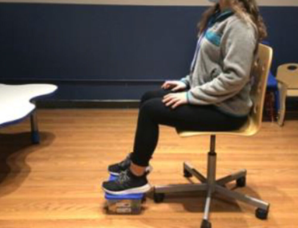 Prone Extension - Blue Bird Day