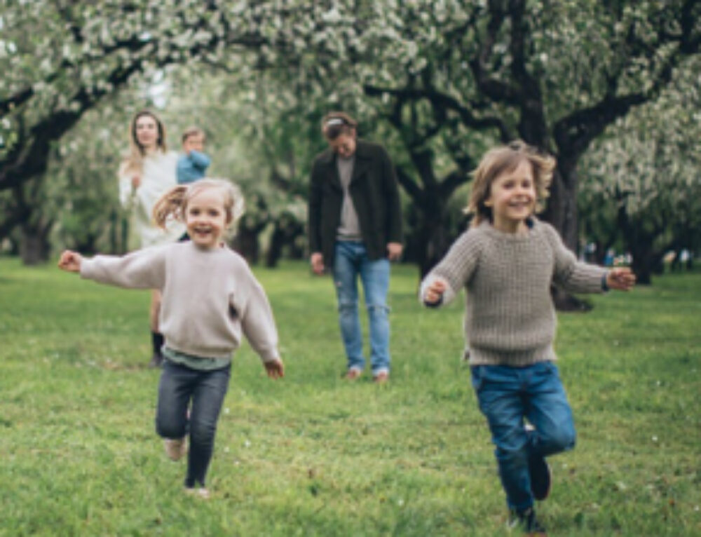 Functional Play - Blue Bird Day