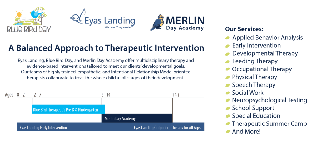 Careers in Pediatric Therapy - Blue Bird Day